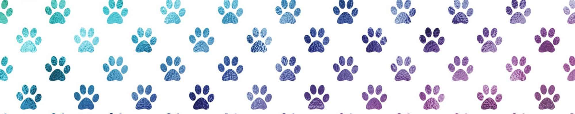 Four Paws Web Design – Pet Website Design and Online Marketing.